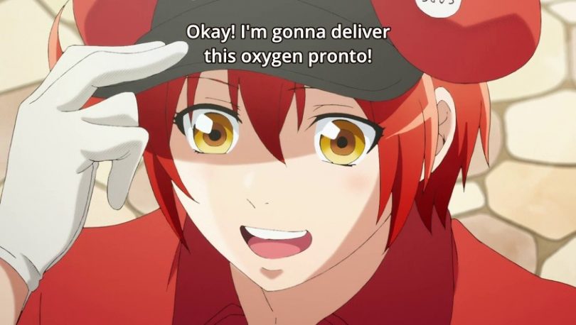 Let's Celebrate Anime Anthropomorphism with 'Cells at Work'! | J-List Blog