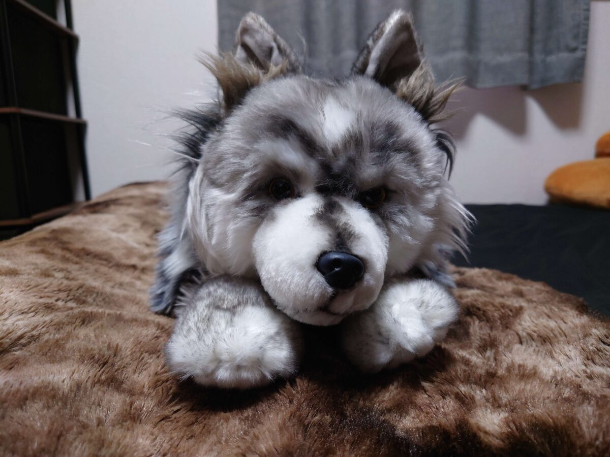 I Bought the Giant FFXVI Torgal Plushie So You Don't Have To | J-List Blog