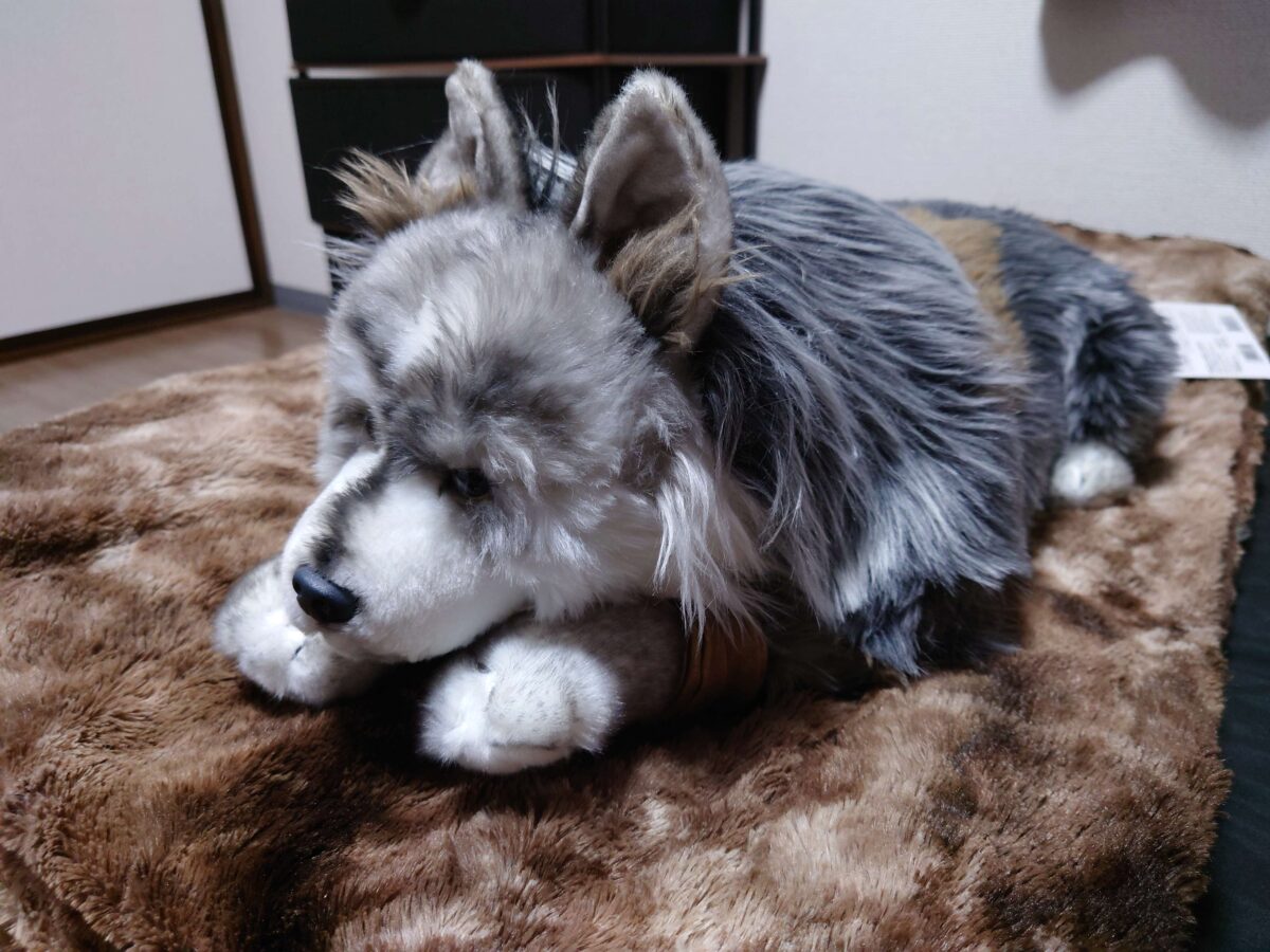 I Bought the Giant FFXVI Torgal Plushie So You Don't Have To | J-List Blog